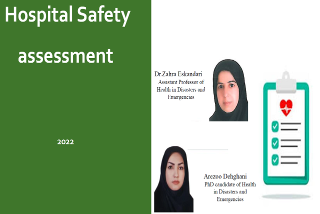 Hospital safety assessment, a step towards effective risk management ...
